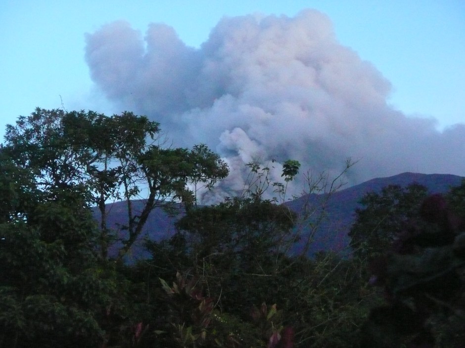 Quetzals under the Turrialba Volcano | Birds for Beer