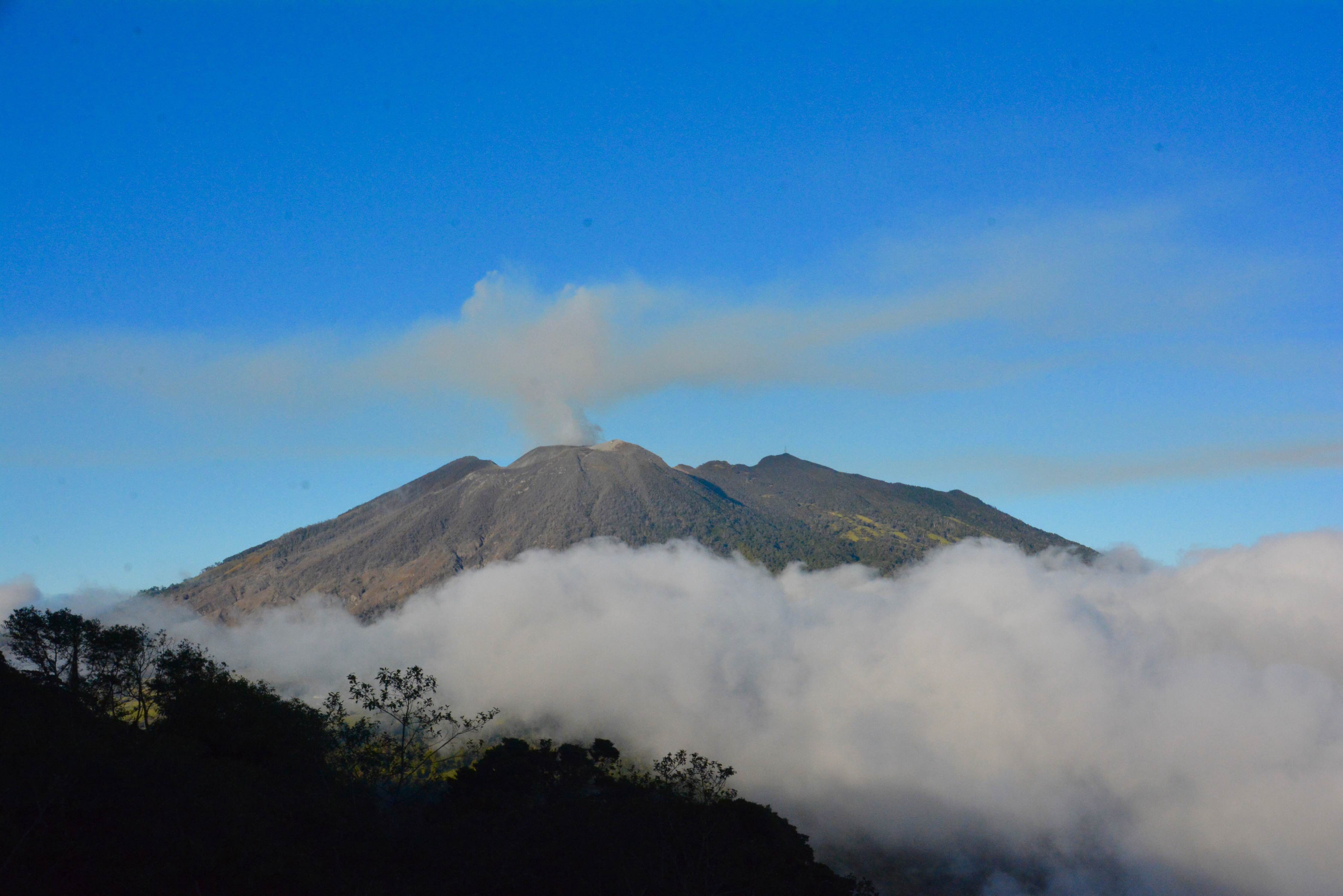 The Volcanoes Road | Birds for Beer